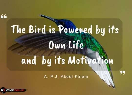Top 100+ Motivational Quotes to Inspire You to be Successful